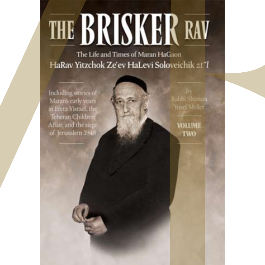 The Brisker Rav Vol 2