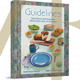 Guidelines - Brachos - Revised Edition